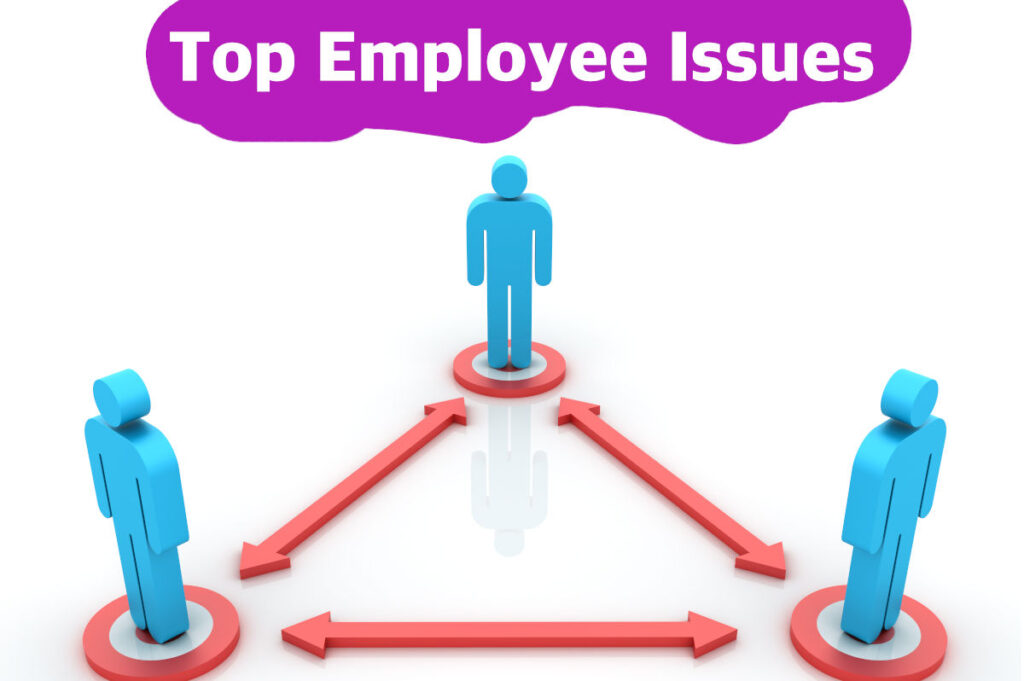 Top Employee Issues – LBH Business Services Inc.
